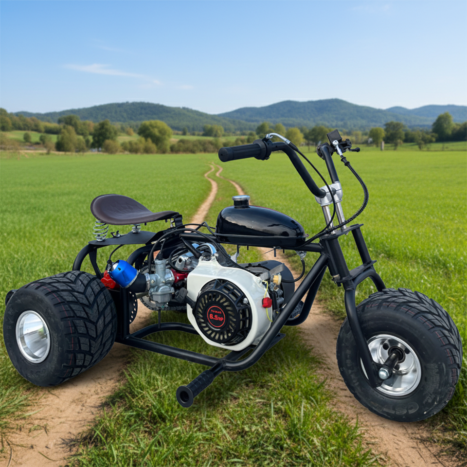 Customized 2026 New Racing Pedal Mini Bike 212cc 8.5HP 4 Stroke Gas ...
