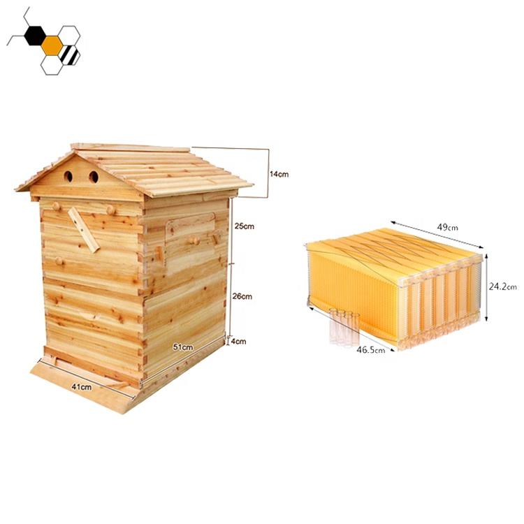 Self-Flowing Beehive Box with 7 Auto Frames – China Fir Wax Coated ...