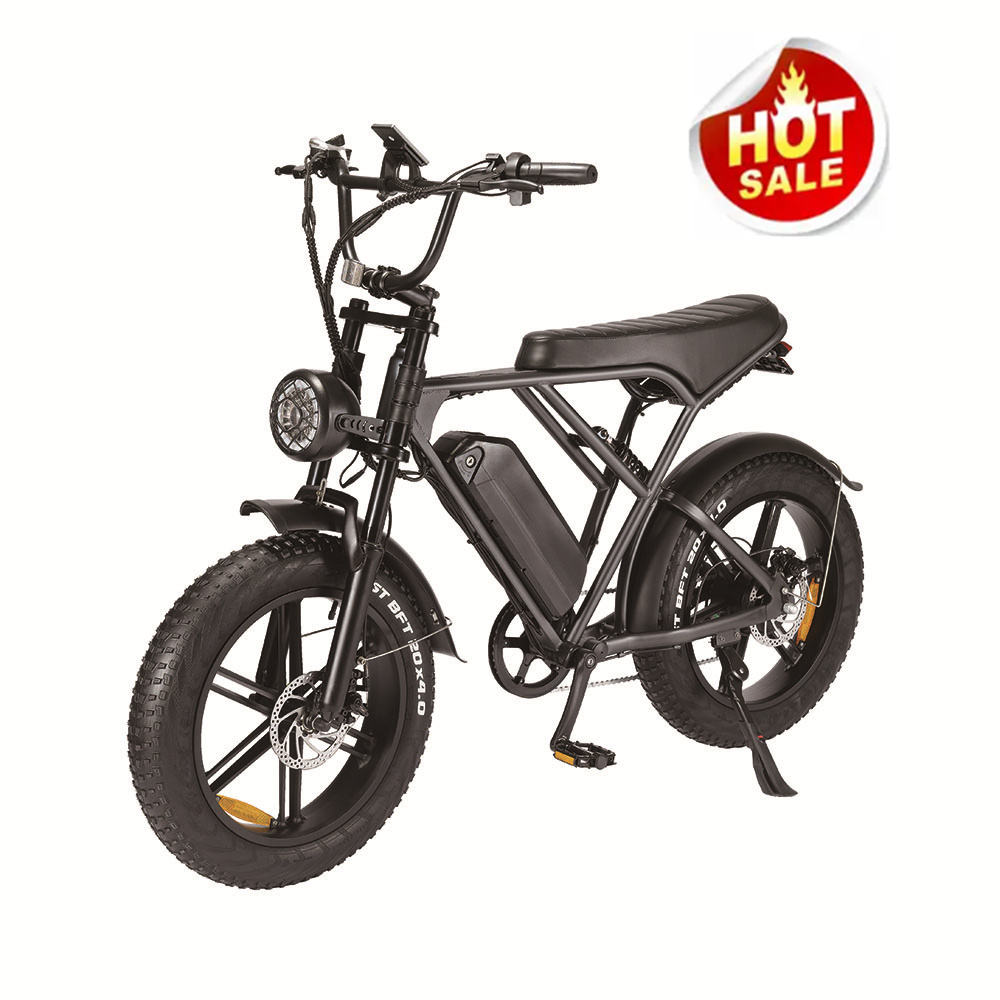 How to Choose the Best Electric Cycle Low Price Fat Bike