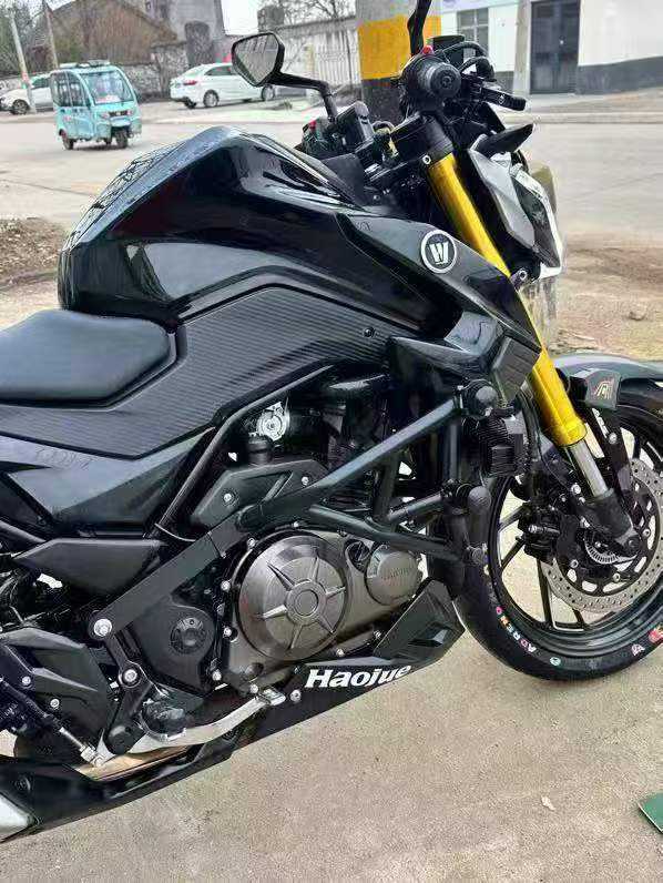 Haojue DR300 Best 300cc Naked Motorcycle for Global Market 298cc Twin ...