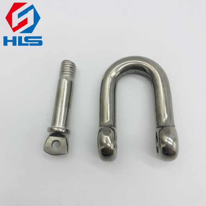D Shackle Bow Shackle Rigging Shackle Sliver 304/316 Stainless Steel ...