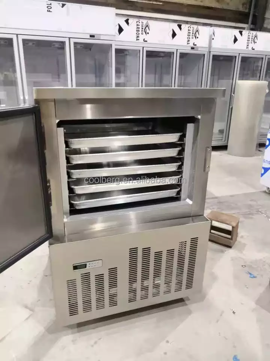 10 Tray Chicken Blast Freezer Reach-In Solid Door Blast Freezer for ...