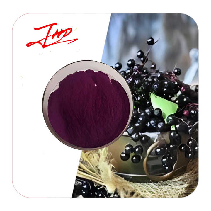 Bulk Black Elderberry Extract 13% AC Anthocyanidins 18% Polyphenols ...