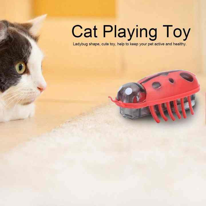 Plastic Durable Battery Mini Ladybug Worm Insect Mouse Interactive ...