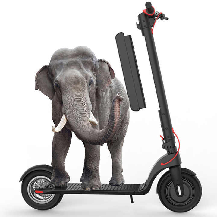 2025 High-Speed 350W Self-Balancing Electric Scooter with Removable ...