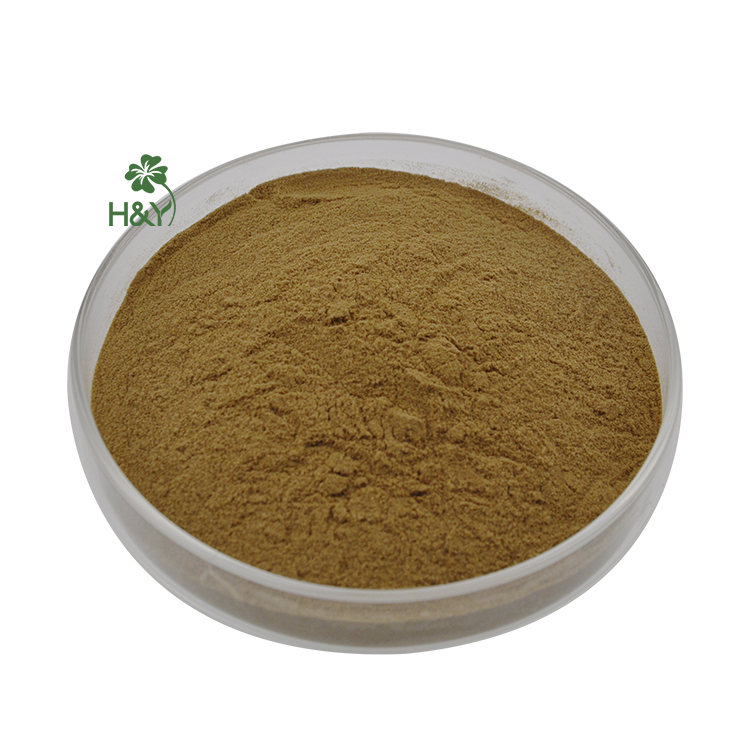 How to Choose Wholesale Bitter Cola Seed Powder: A Complete Buyer's Guide