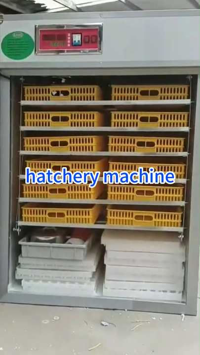 XF Chicken Incubator and Hatchery Machine for 5280 Eggs Full Automatic ...