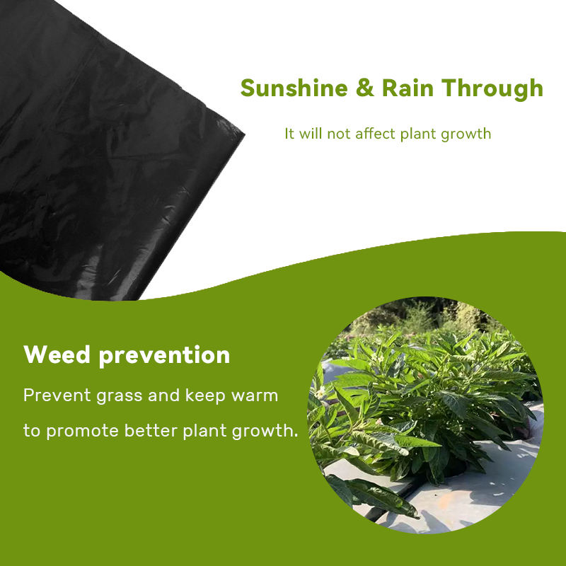 Ecological Farming Mulch Sheet Biodegradable PET Plastic Membrane ...