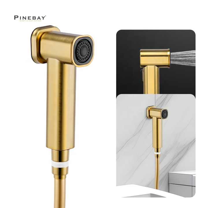 PINEBAY Modern Design Bathroom ABS Round Bidet Toilet Shower Gold Easy ...