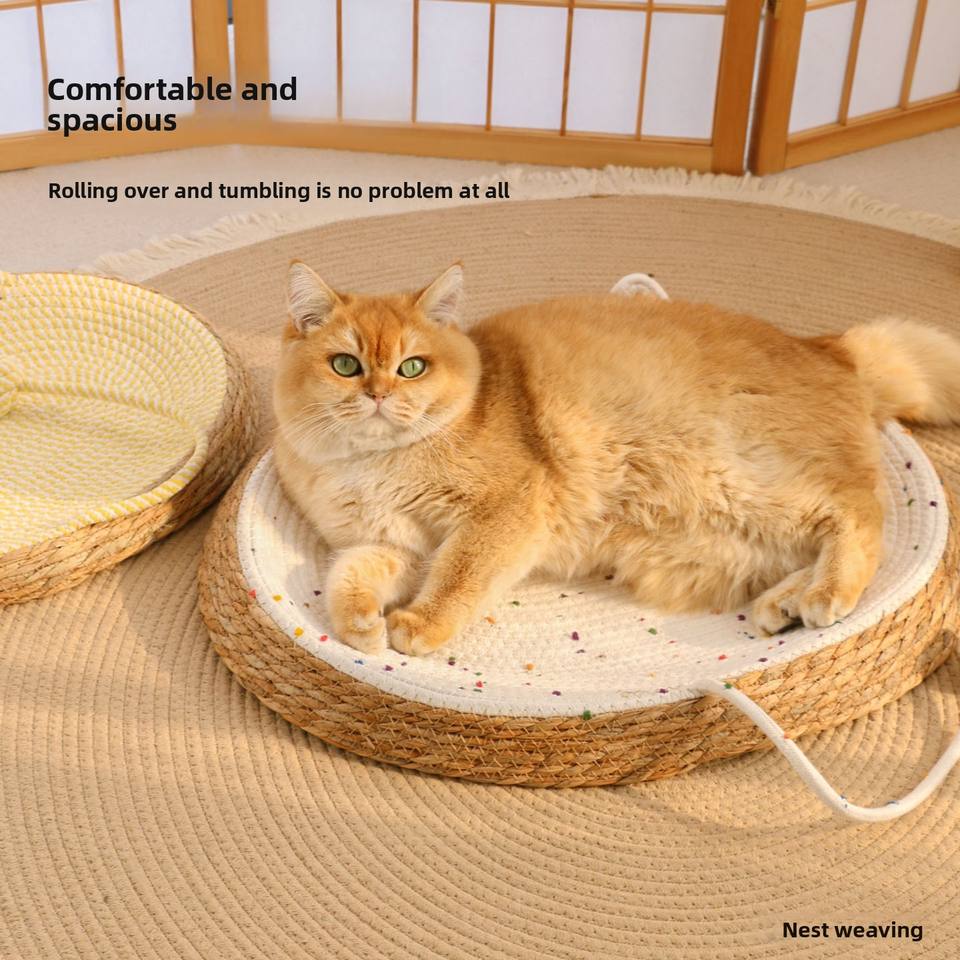 Modern Fashion Rectangle Cat Scratching Board Bed Wear-Resistant Non ...