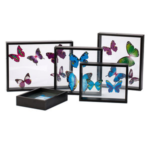 Bulk Shadow Boxes 8x10 Wholesale | Premium Wood & Custom Display Frames