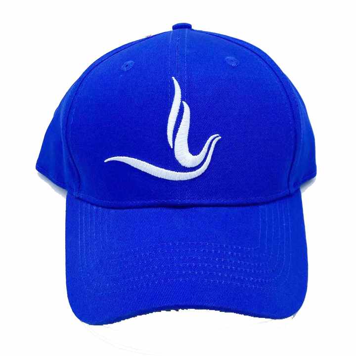 Shop Wholesale Blue Zeta Phi Beta Finer Bird Hat OEM Factory