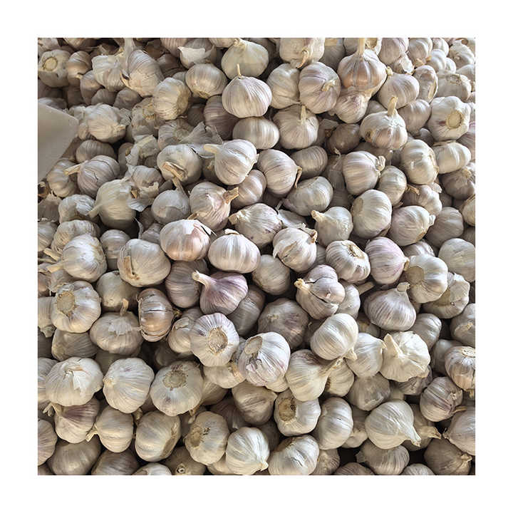 2025 Organic Garlic 3p 4p 5p 10kg 20kg Packing Cheap Price Wholesale ...