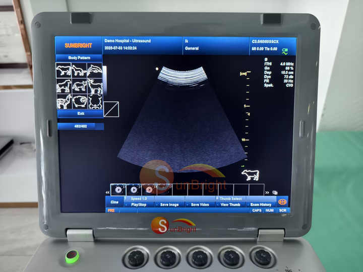 Veterinary CW Cardiac Color Doppler Ultrasound Pet Hospital Ultrasound ...