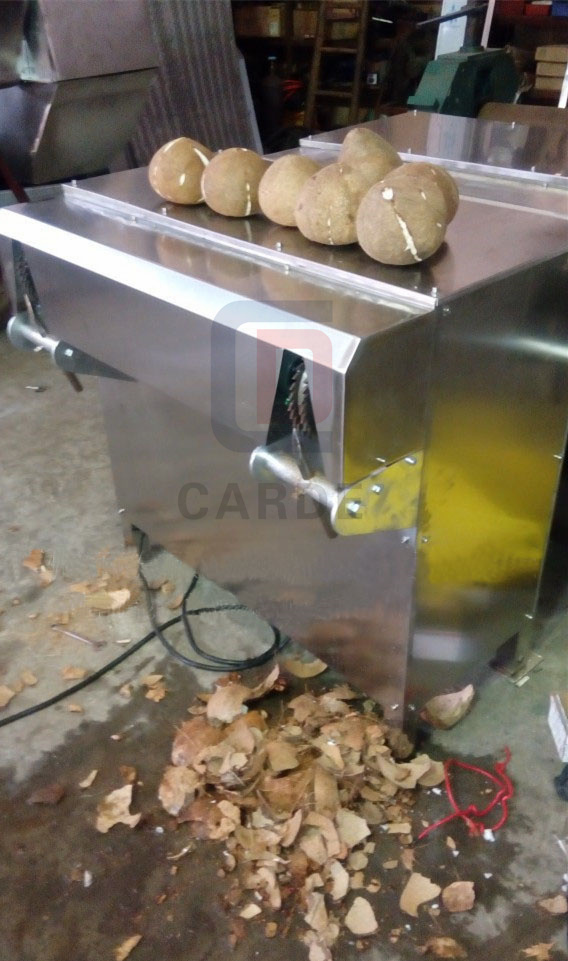 Coconut Cutting Machine - SUS304 Automatic Shell Cutter