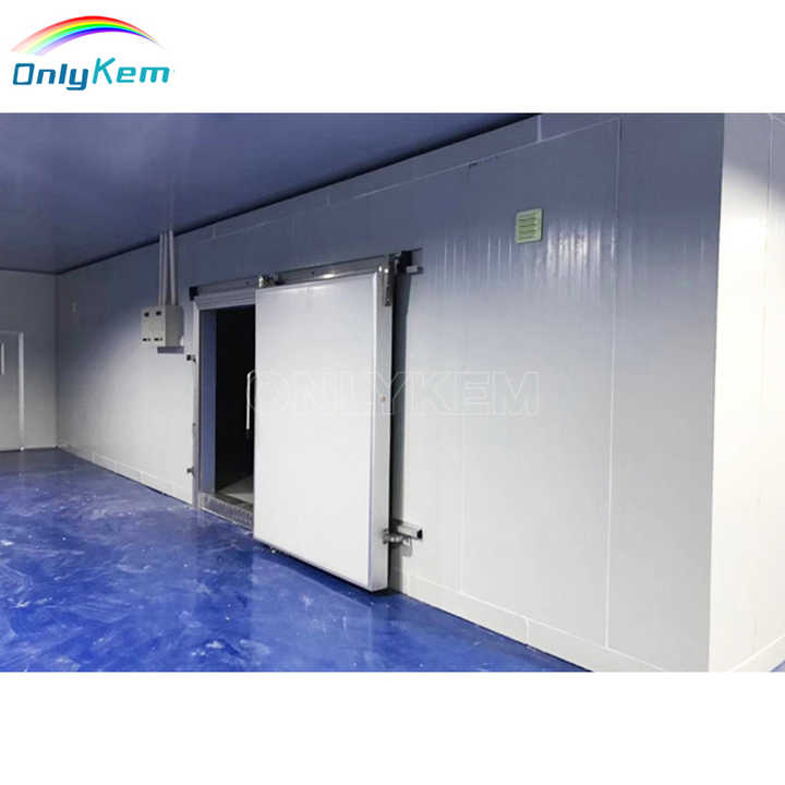 Customized Coldroom Cold Storage Project Walk in Freezer Cold Room ...