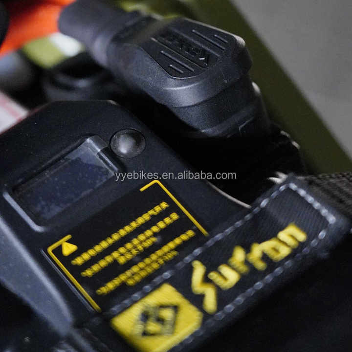 2025 Surron Storm Bee off Road Ultra Bee LBX Electric Dirt Bike