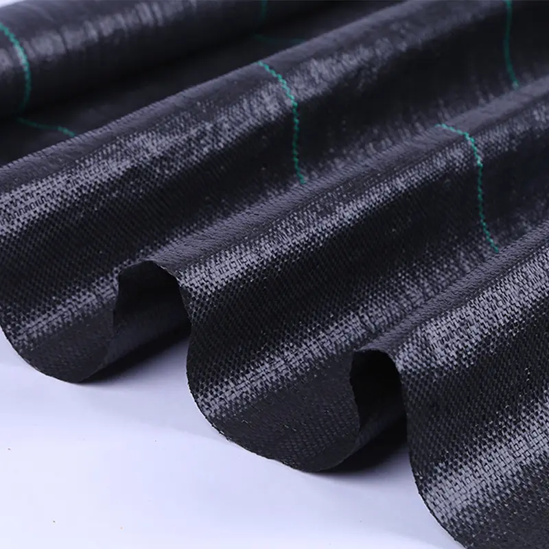 How to Choose Construction Plastic Sheeting: A Complete Buying Guide