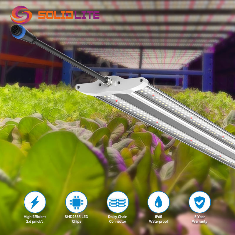 SOLID LITE S LM301h Full Spectrum IP65 Aluminum Alloy LED Grow Light ...