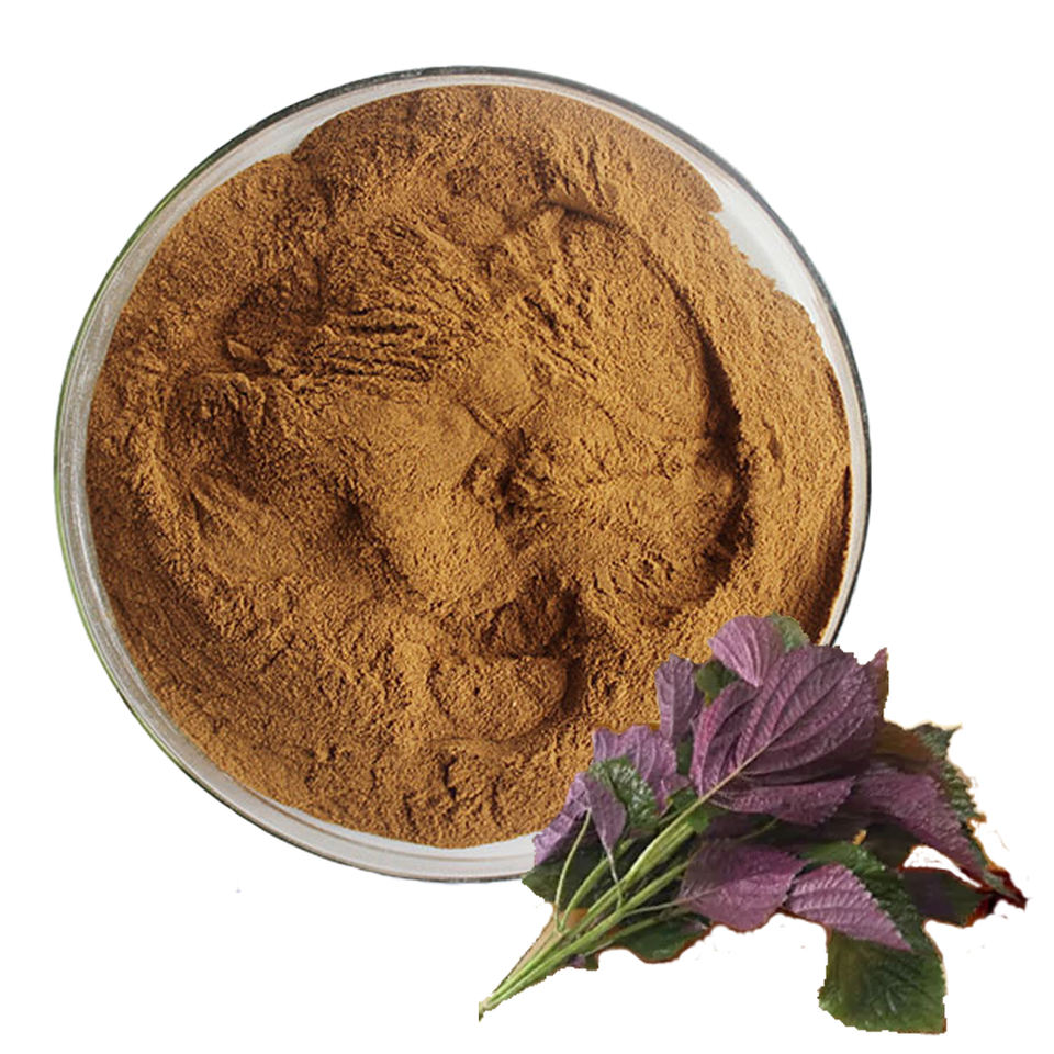 Hot Selling OEM Natural Herbal Perilla Leaf Extract Perilla Extract ...