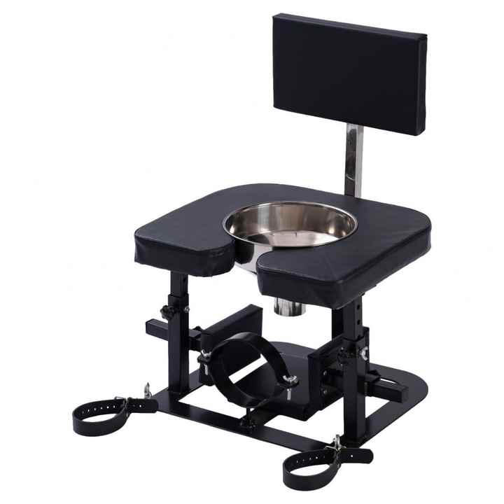 BDSM Sitting Face Stool - Toilet Potty Chairs for Training