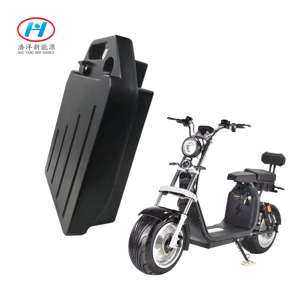 Haoyang HY-60104 Two Wheeler Electric Bicycle 60V 18650 NCM Lithium Ion ...