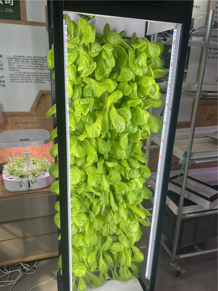 Indoor Greenhouse Cabinet Hydroponics System with Grow Light Indoor ...