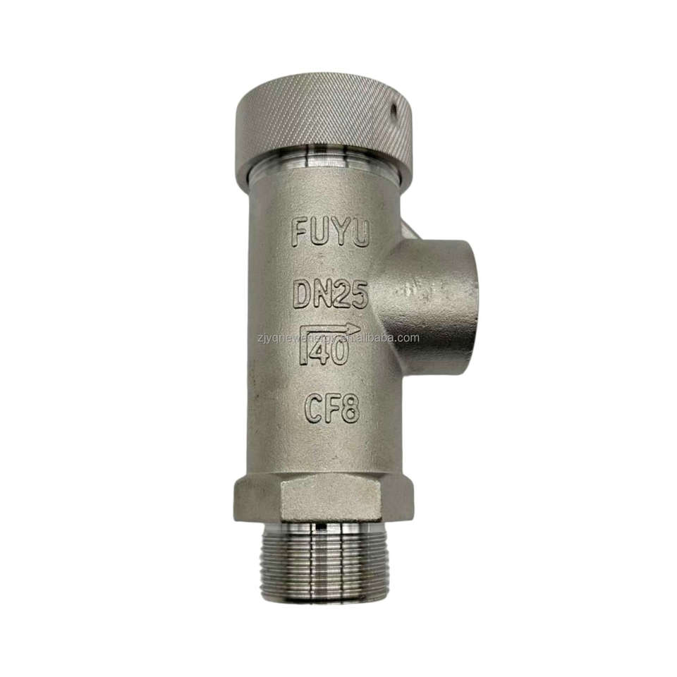 Low Temperature Spring Loaded Relief Valve for Cryogenic Tank| Alibaba.com