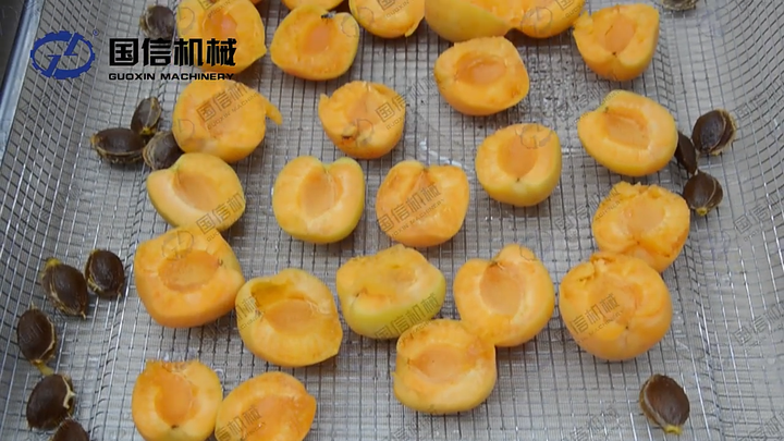 Heat pump fruit drying machine grape dry machinery dried grape ...