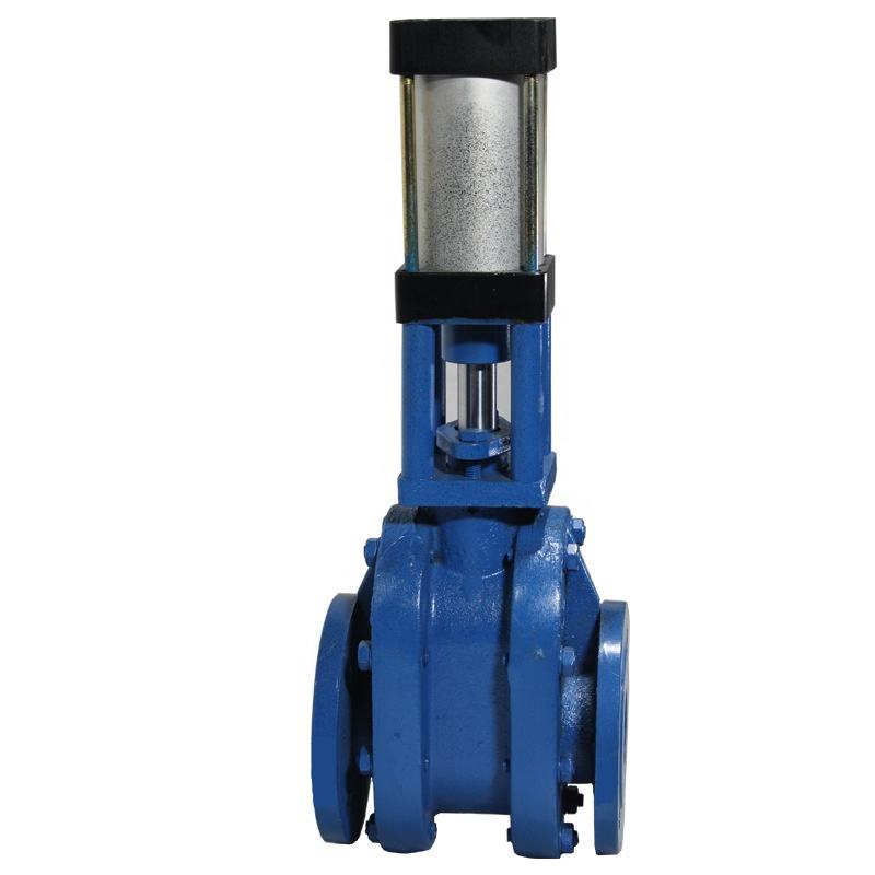 ODM Double Disc Gate Valve - Durable Ceramic Lined Valve