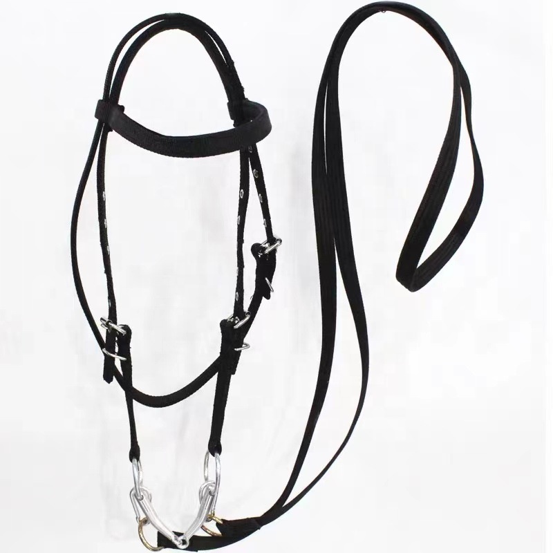 How to Choose the Best Custom Nylon Horse Headstall for Your Riding Needs