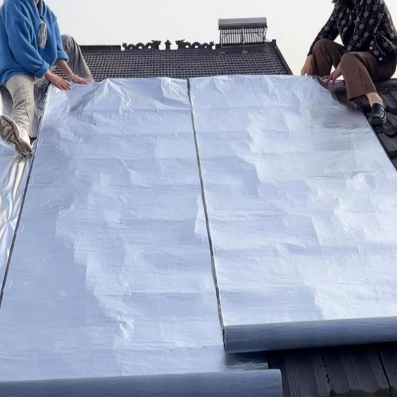 Modern Rubber Roof Waterproofing Membrane for House Construction ...