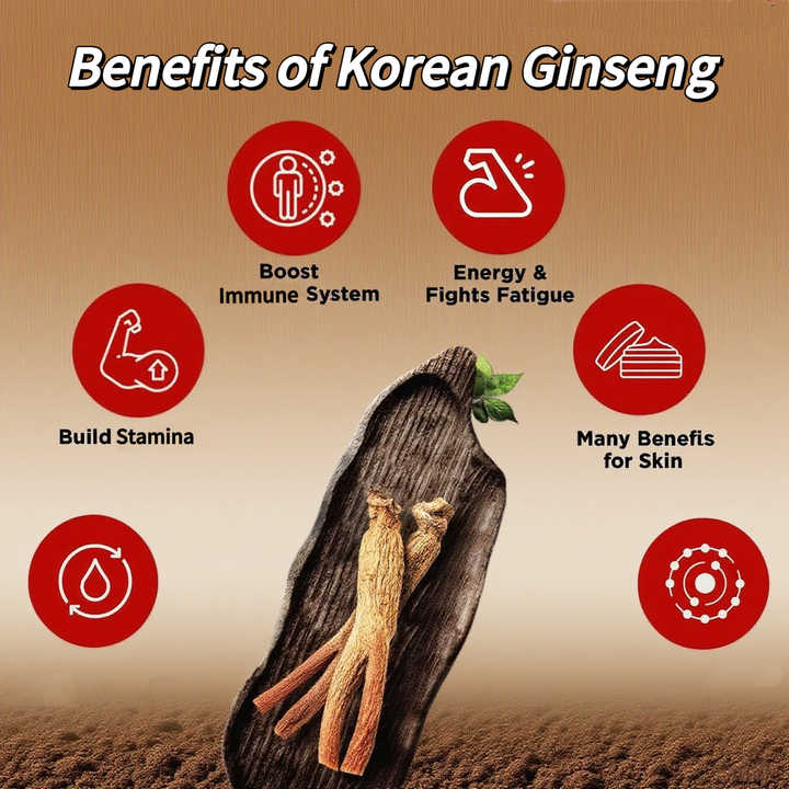 OEM Immune Support Korean Panax Red Ginseng Extract Oral Liquid Drink ...