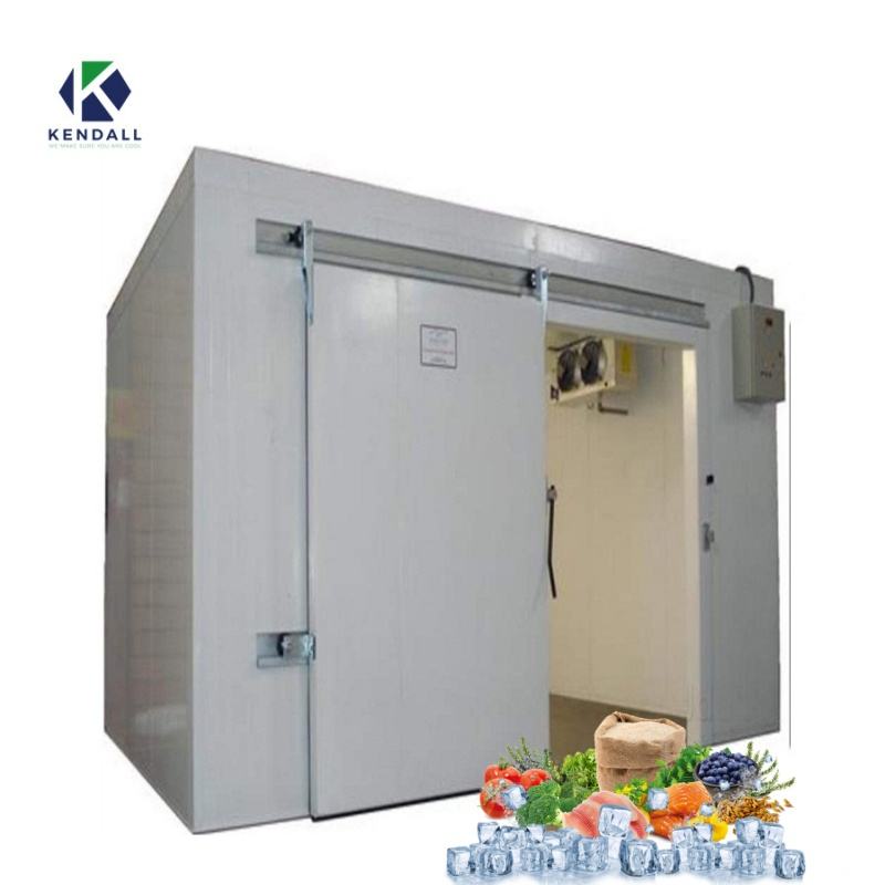 Refrigeration Cold Room Cold Storage Container Walk in Chiller for One ...