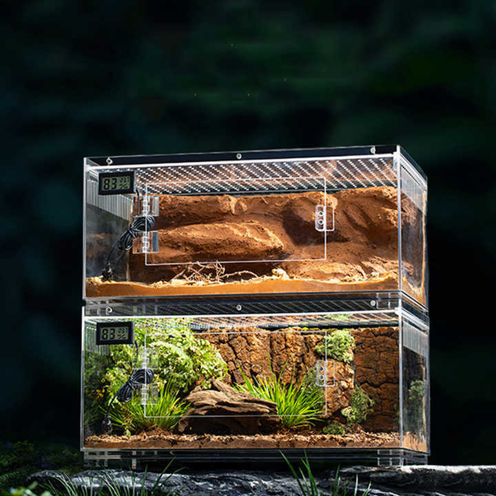 Custom Reptilian Box - 40 Gallon Terrarium Enclosure