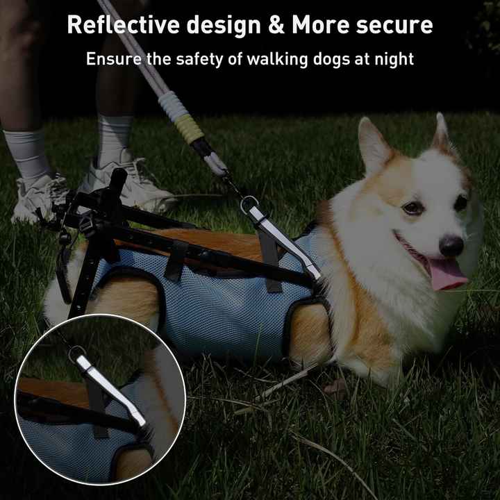 Dog Wheelchair with Disabled Hind Legs Walking Mobility Aids for Small ...