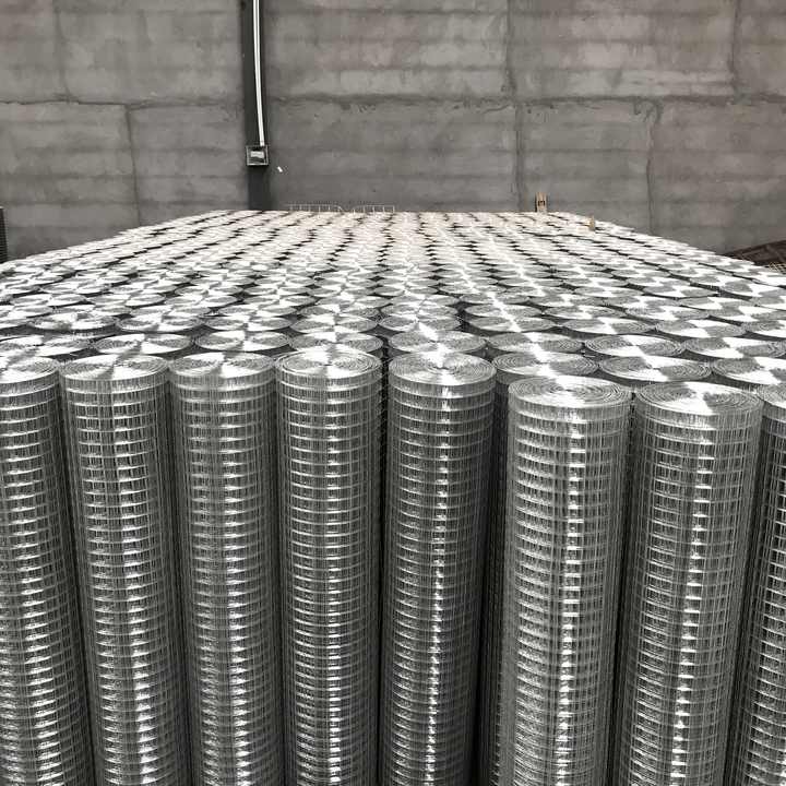 1x1 2x2 Galvanized Cattle Welded Wire Mesh Rolls - Durable & Versatile