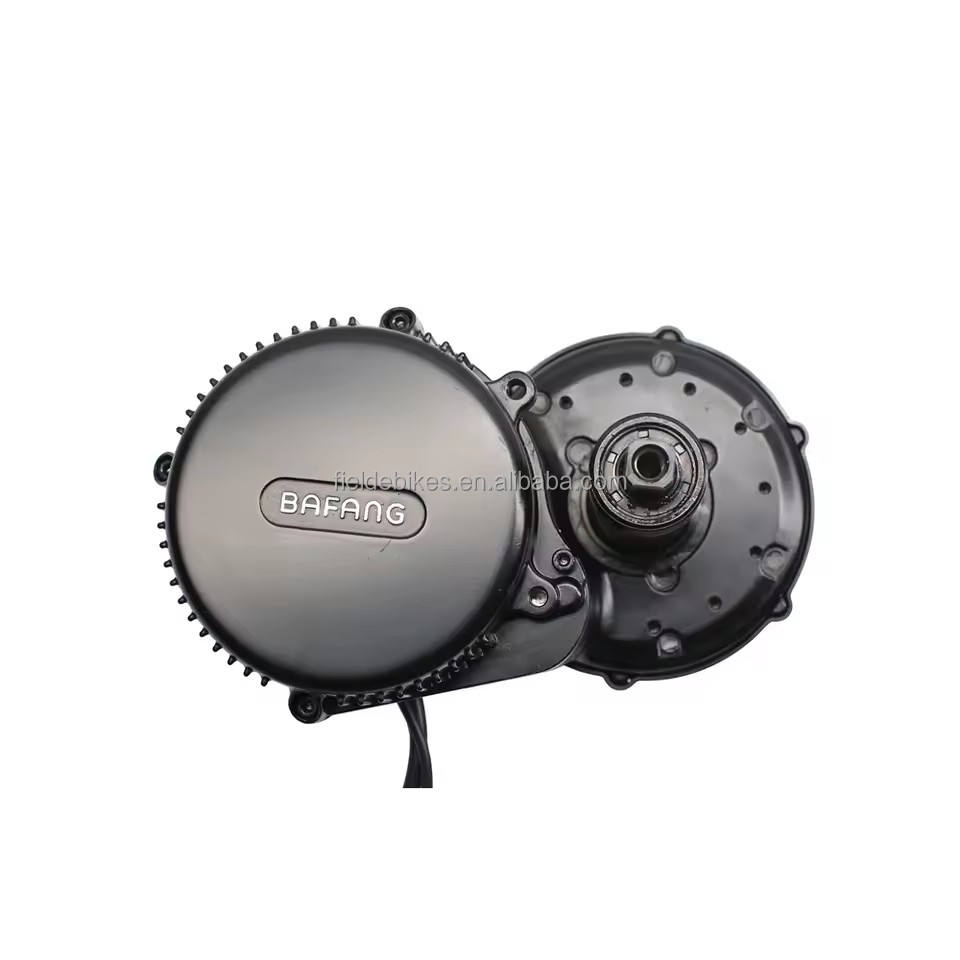 48v 750w Bafang CAN Version BBS02B Ebike Kit with DPC080 BT Display