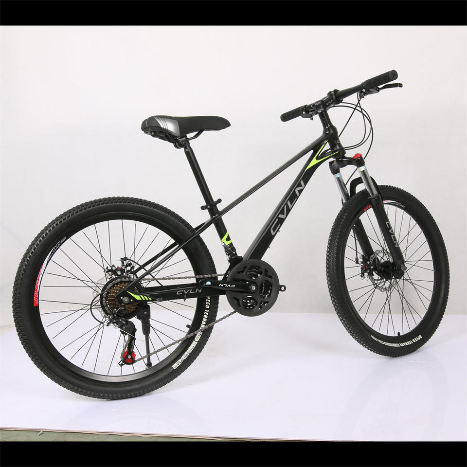 24 Carbon Steel Mountain Bike with Fork Suspension Double Disc Brakes ...