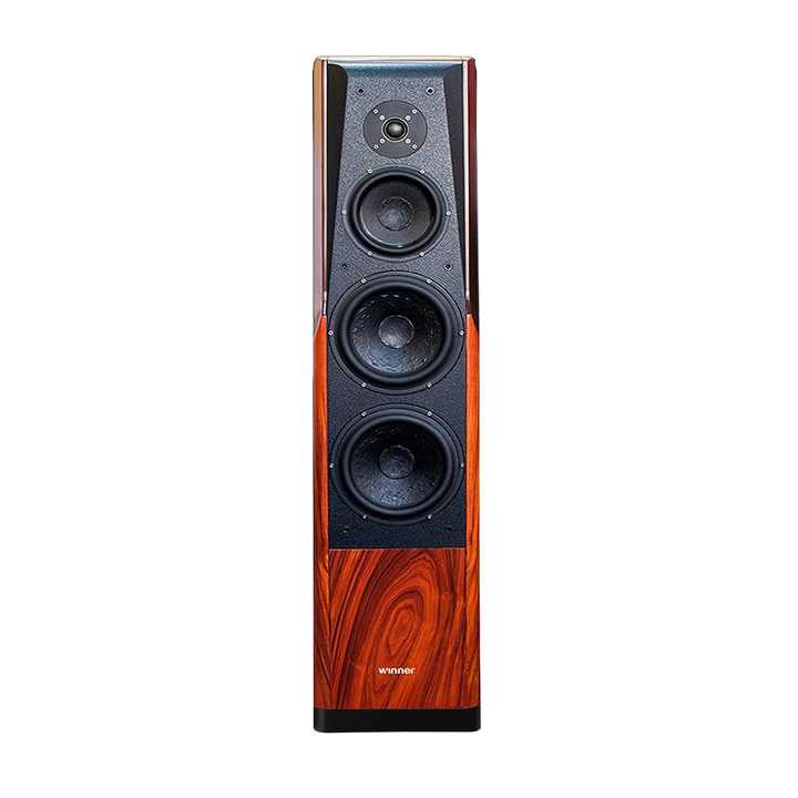 Tonewinner High End Home Theater System - Floor Standing Speakers