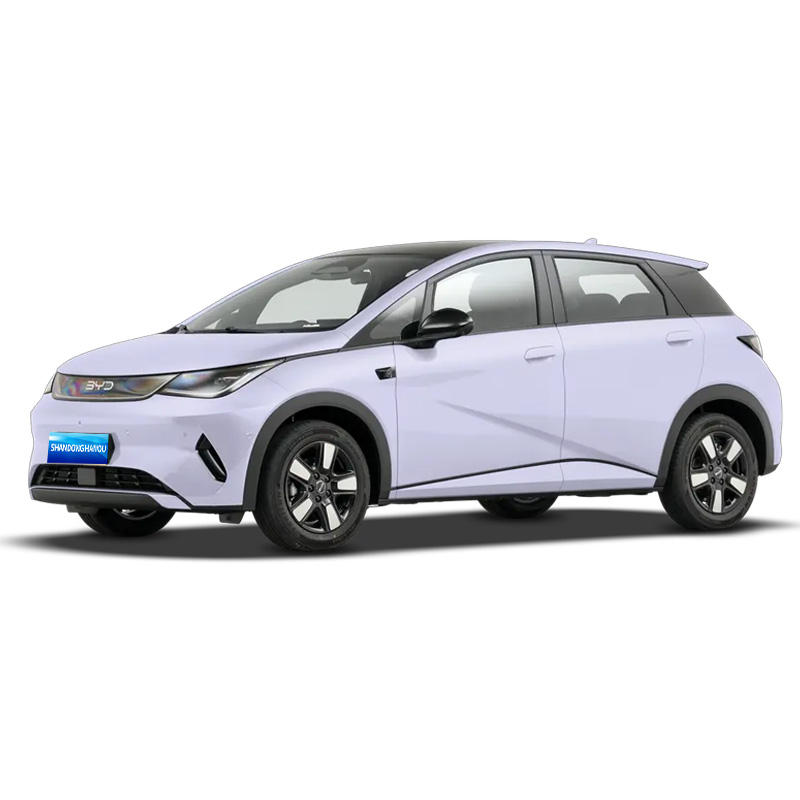 BYD Dolphin 520KM Knight Edition 2025 Intelligent Driving Edition 520KM ...