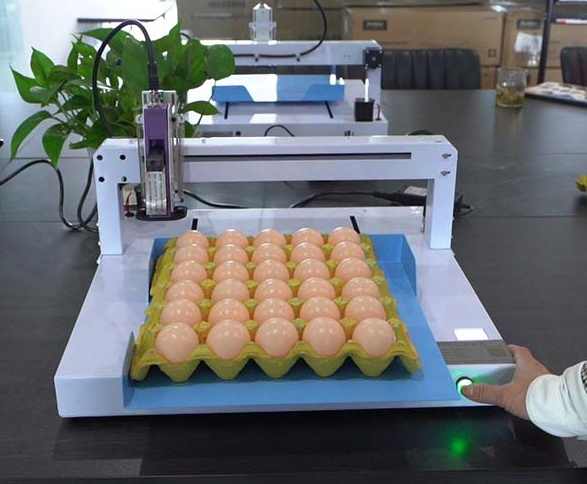NP Brand Egg Marking Printer High Quality Automatic Printer For Eggs ...