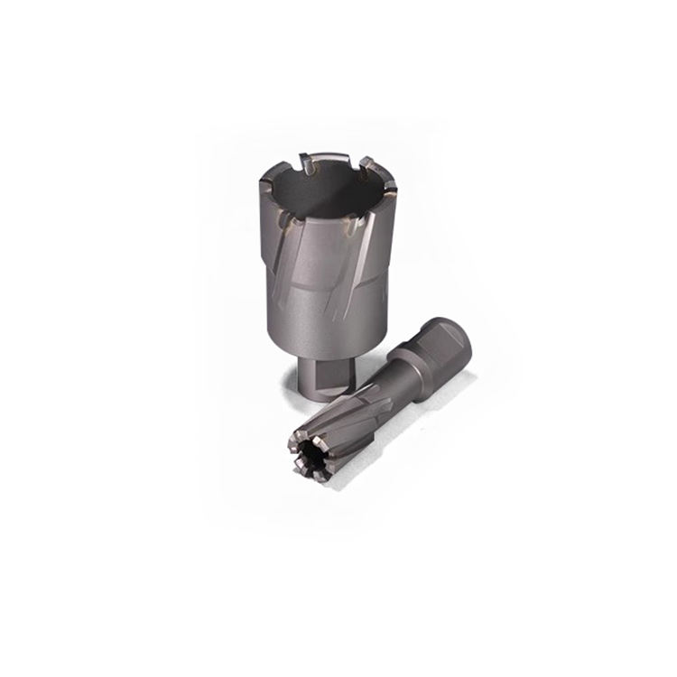 LOWENDORF TCT 35mm length D25 Annular Cutter for Metal Carbide Drill ...