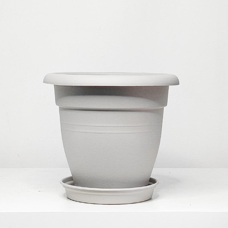 Hollen Minimalist Plastic Flower Pot for Epipremnum Pothos Succulent ...