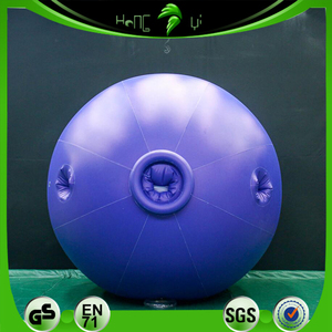 PVC Blueberry Inflation Suits - Fun & Customizable