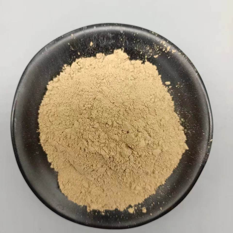 China Factory Export Diatomaceous Earth White Powder Filter Aid ...