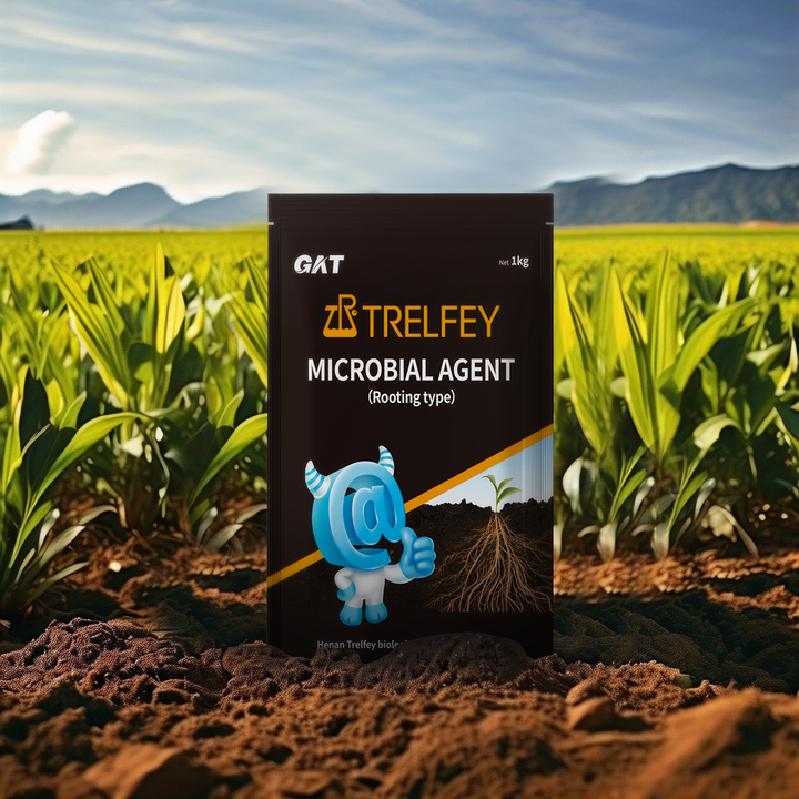 Probiotics Bacillus Subtilis Soil Conditioners Mycorrhizal Fungi Plant ...