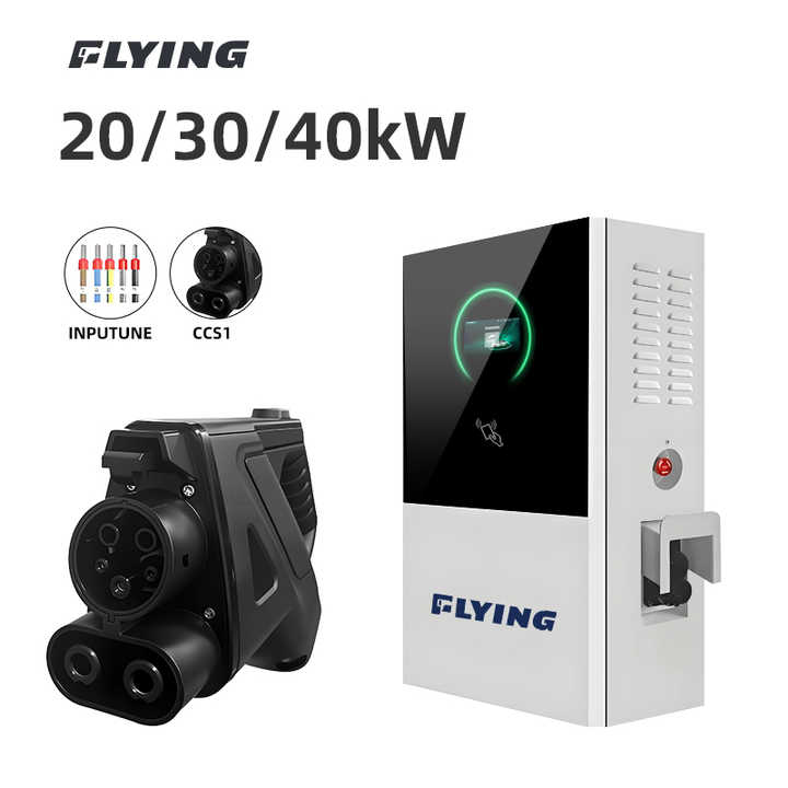 20kW 30KW 40KW DC Charging Station Fast Charging Factory Direct Sales CE CCS1, CCS2, GB/T ...