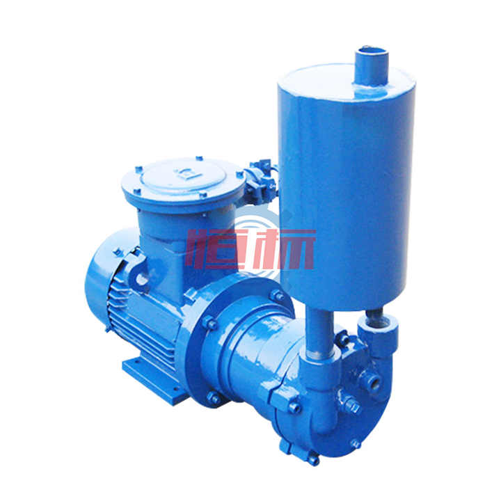 2BV Water Liquid Ring Vacuum Pump - High Efficiency & Pressure