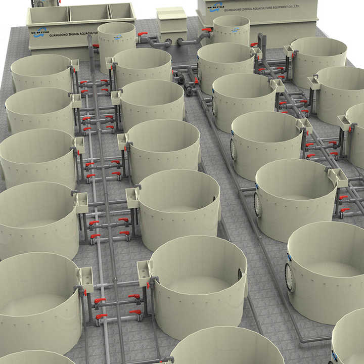 Full Automatic Aquaculture Equipment Efficient Fish Farming Water Cycle System with Ras ...